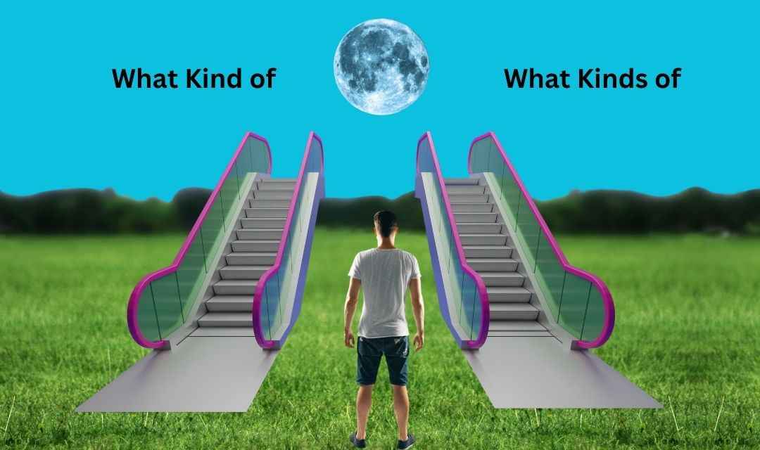 What Kind of vs What Kinds of: 2025 Guide + Examples