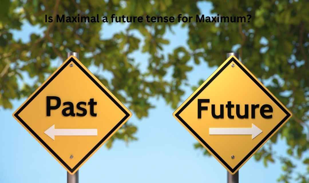 Maximal vs Maximum: Discover the Crucial Difference