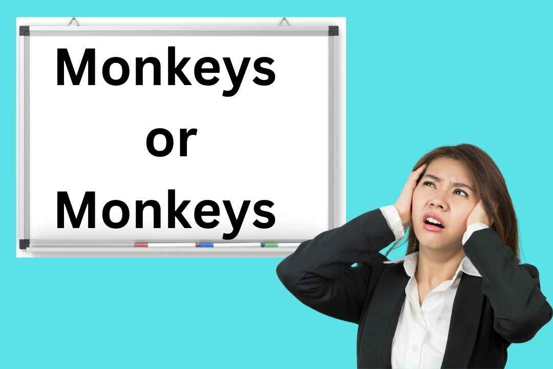 Monkeys or Monkeys? Unlock the Correct Grammar with Examples!